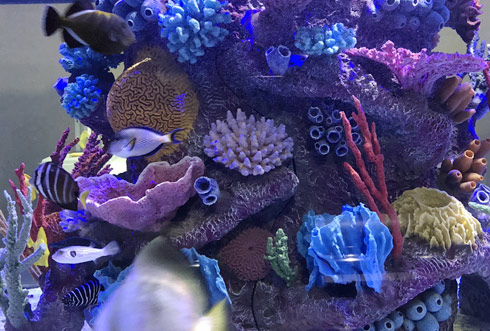 OCEAN AQUARIA ARTIFICIAL CORAL AQUARIUM INSERTS