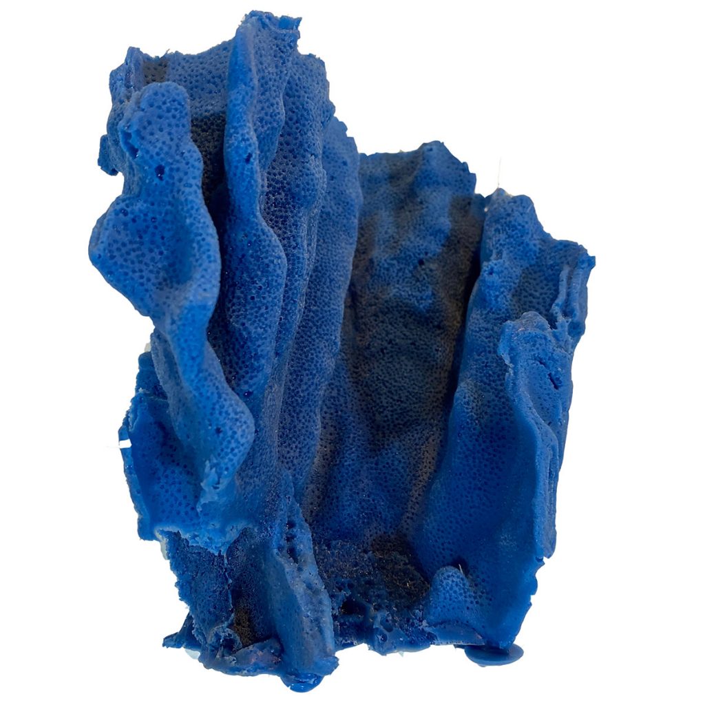 #522 Blue Ridge Coral | Ocean Aquaria