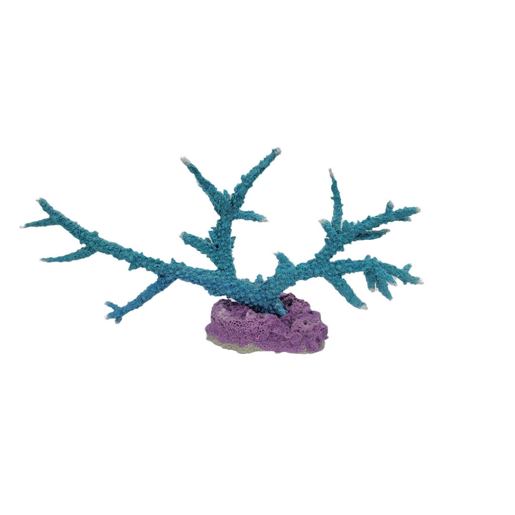 #331 Staghorn Coral on custom base | Ocean Aquaria