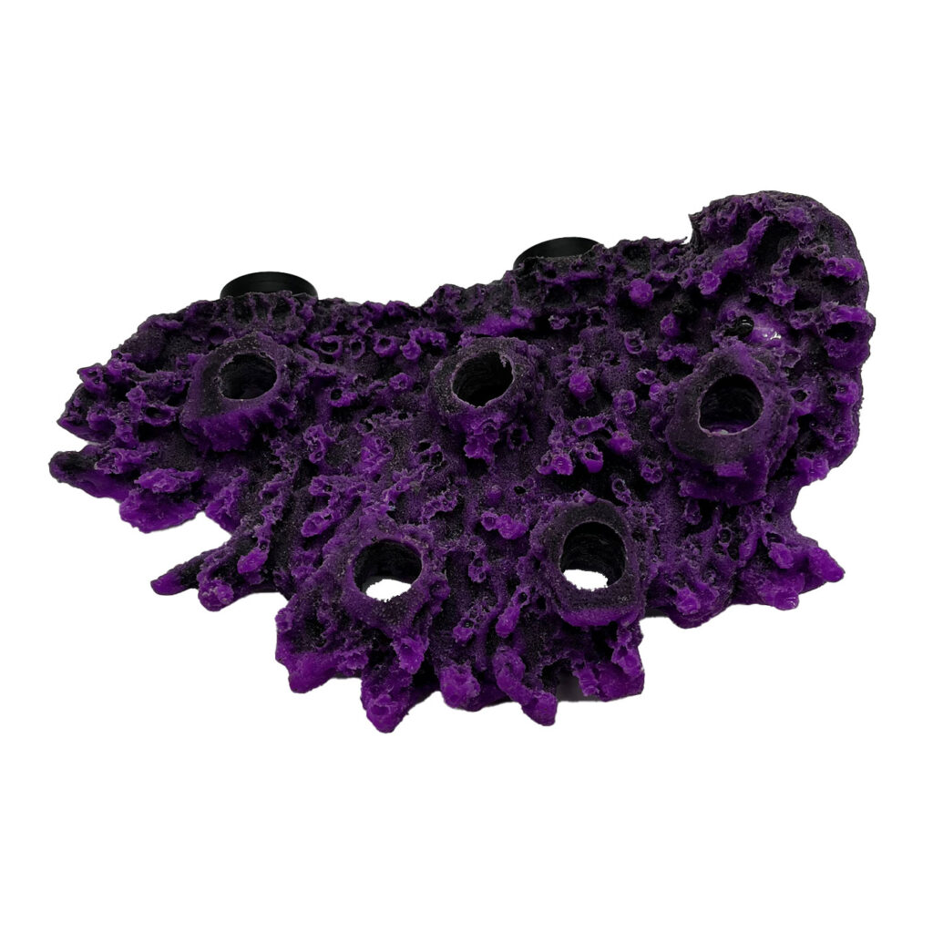 5 Hole Shelf Acropora Frag Rock MAGNETIC for Live coral plug ons ...