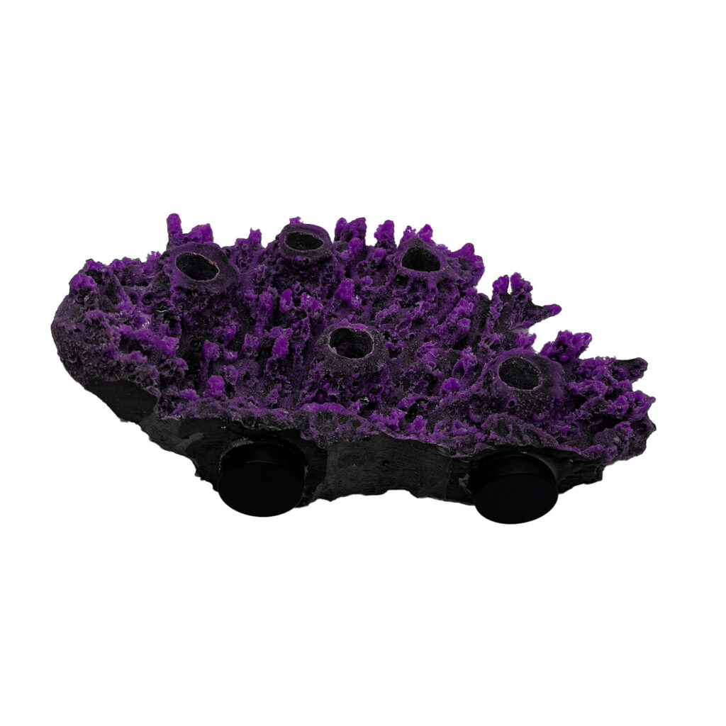 5 Hole Shelf Acropora Frag Rock MAGNETIC for Live coral plug ons ...