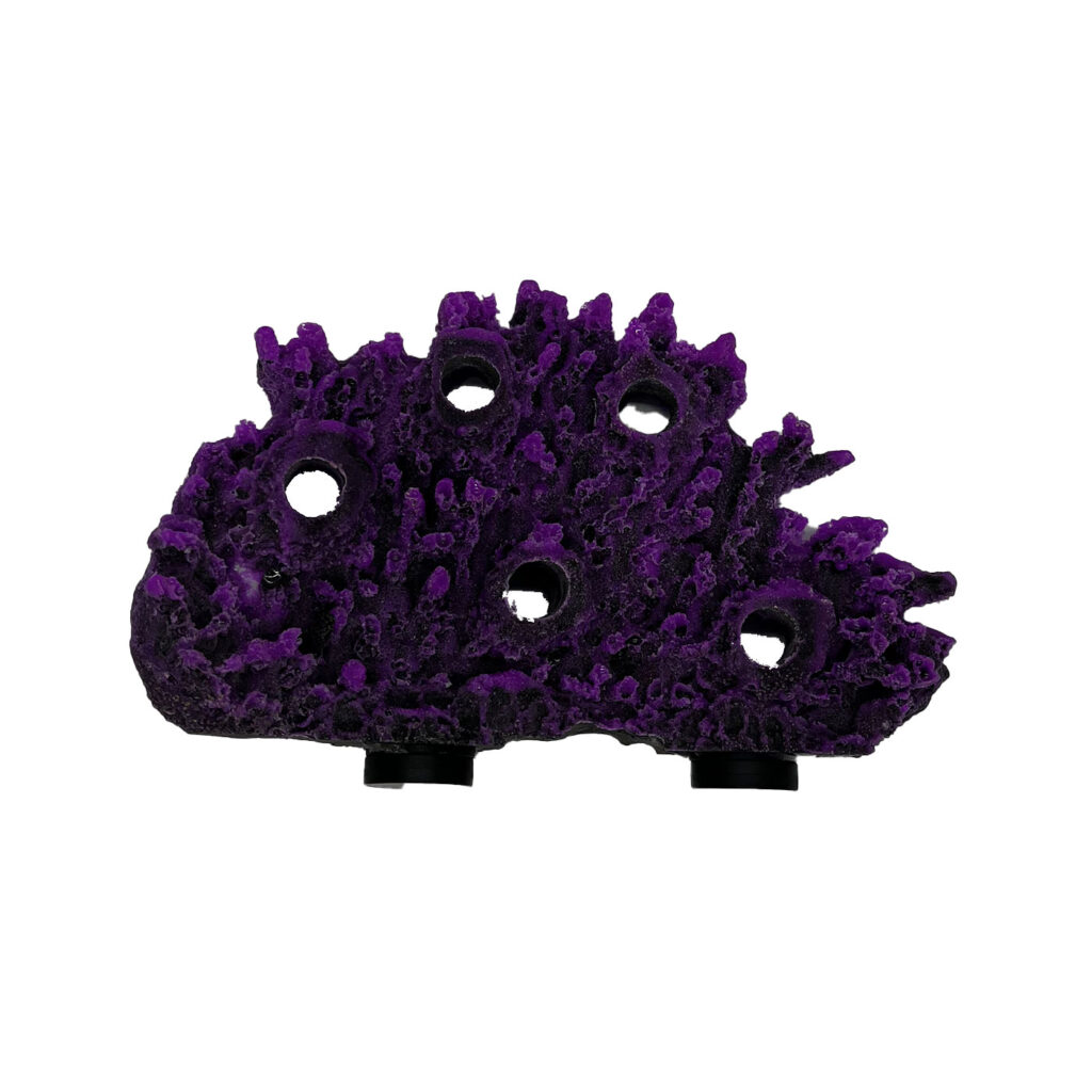 5 Hole Shelf Acropora Frag Rock MAGNETIC for Live coral plug ons ...
