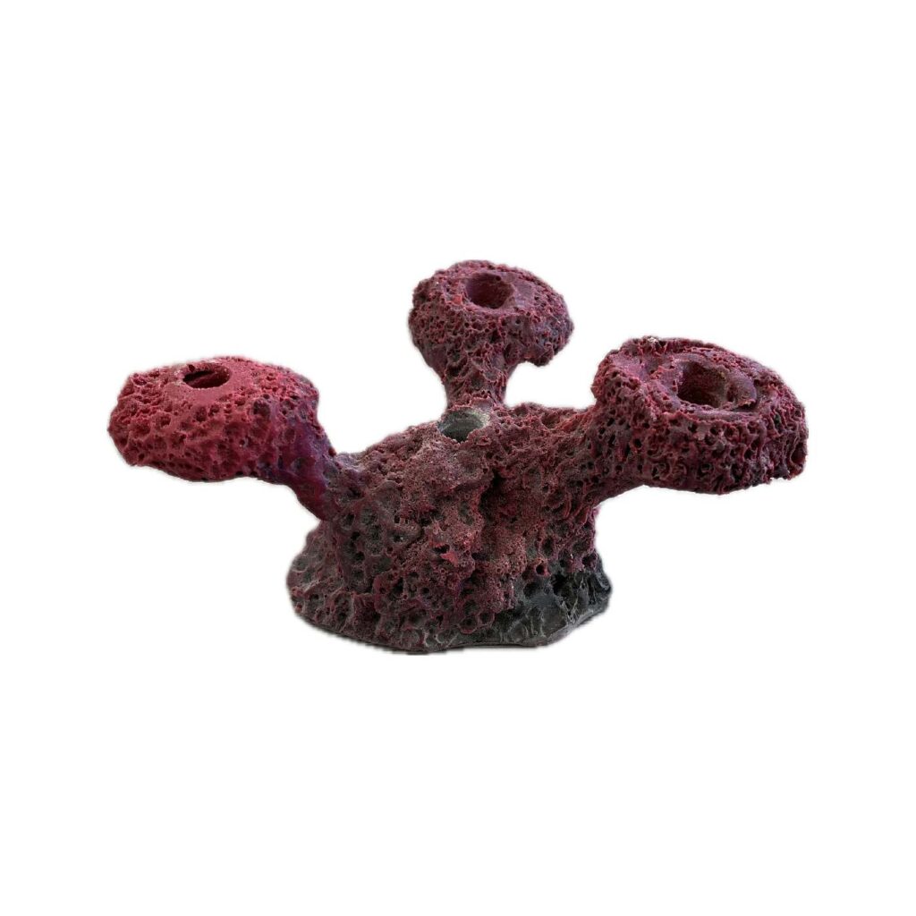 Frag Plug Rocks and Magnetics | Ocean Aquaria